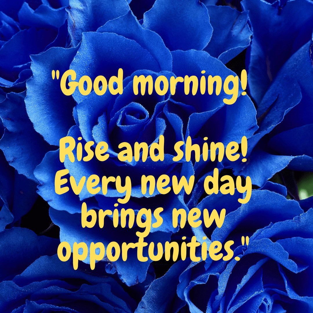 Good Morning Quotes & Images - Image Quotables